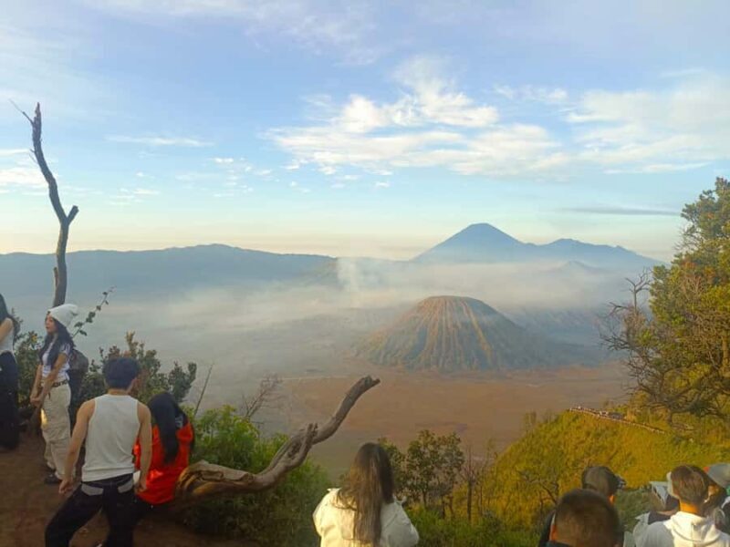 From Surabaya: Bromo, Sewu, Sukamade, and Ijen 5-Day Tour - What You Can Expect From the Tour