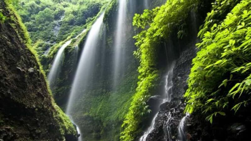 From Surabaya/Malang: Mount Bromo and Madakaripura Day Tour - The Adventure at Mount Bromo