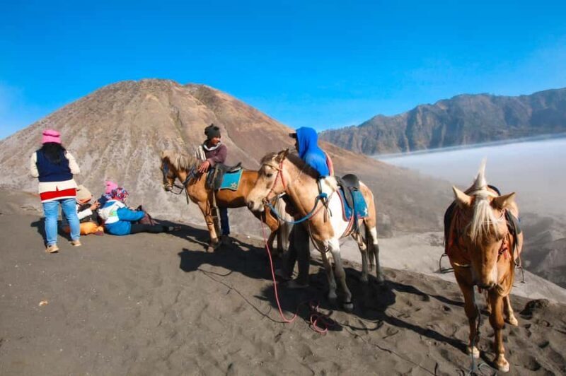 From Surabaya or Malang: 3-Day Bromo & Ijen Tour & Stay - Final Thoughts