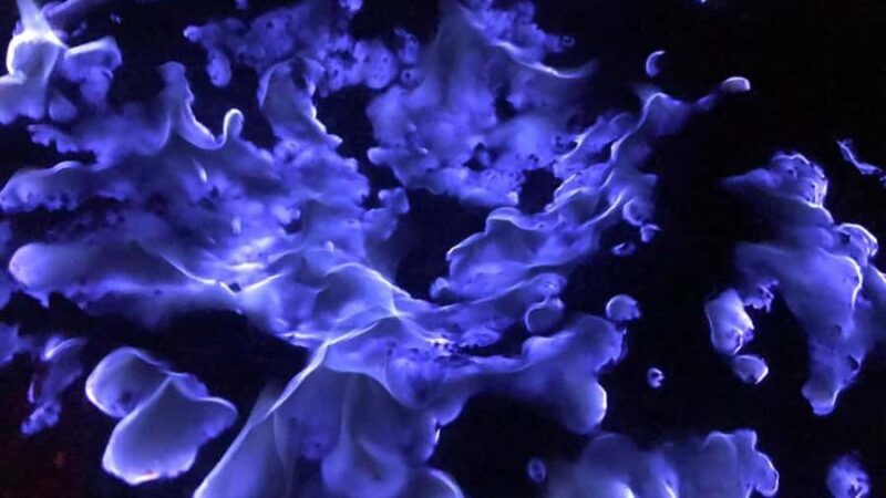 From Surabaya or Malang: Tumpak sewu, Mount Bromo, Ijen 3D2N - Key Points