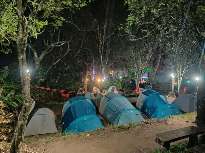 From Suryanelli: Kolukkumalai Tent Stay - Who Should Consider This Tour?
