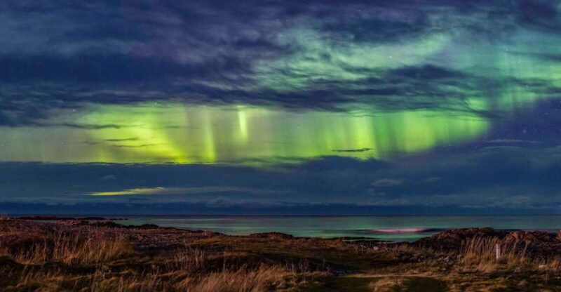 From Svolvær: Guided Northern Lights Tour by Van - Introduction: Catch the Lights in Comfort and Style