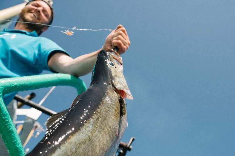 From Svolvaer: Lofoten Fishing Boat Cruise - From Svolvaer: Lofoten Fishing Boat Cruise — A Deep Dive into Authentic Norse Fishing