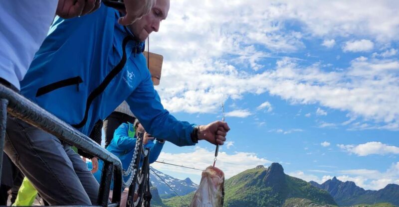 From Svolvaer: Lofoten Fishing Boat Cruise - Key Points