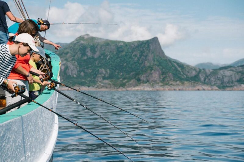 From Svolvaer: Lofoten Fishing Boat Cruise - Who Should Consider This Tour?