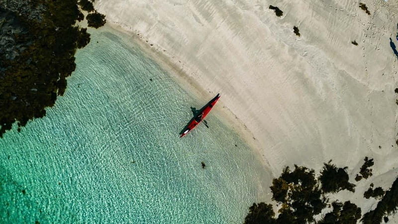 From Svolvær: Lofoten Guided Kayak Experience - What Makes This Tour A Good Value