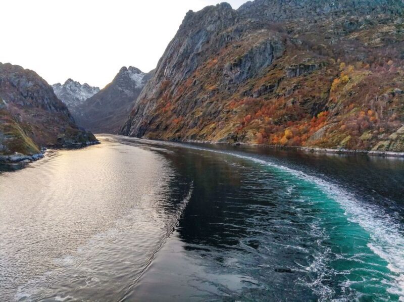 From Svolvær: Lofoten Islands Silent Trollfjord Cruise - Analyzing the Value and Price