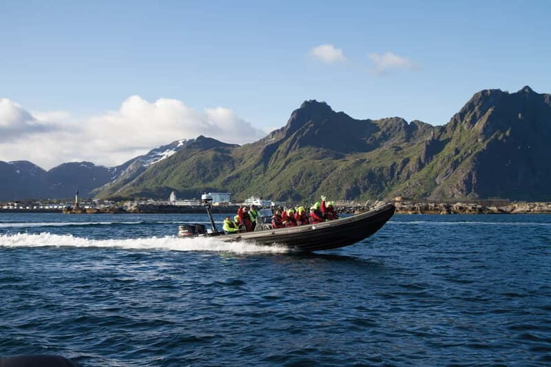 From Svolvær: Lofoten RIB Sea Eagle Safari Trollfjord Cruise - Key Points