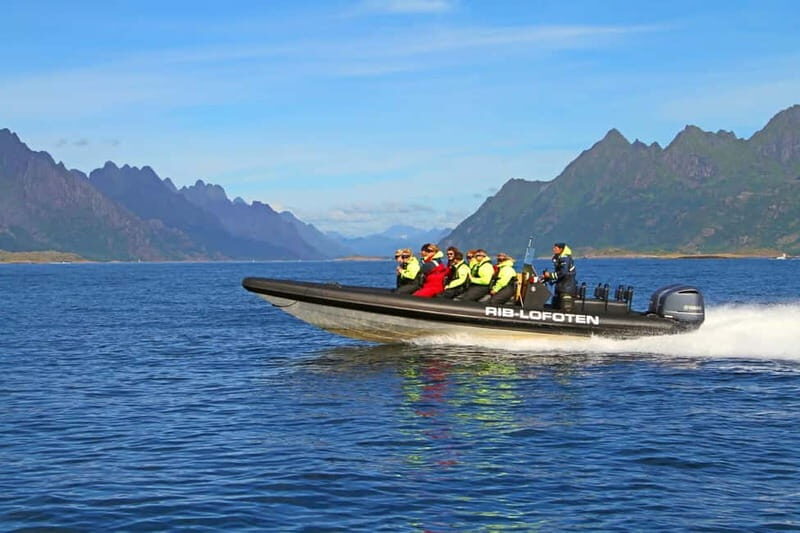 From Svolvær: Lofoten RIB Sea Eagle Safari Trollfjord Cruise - Who Should Consider This Tour?