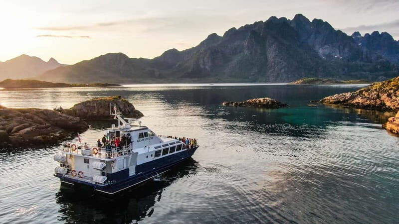 From Svolvær: Lofoten Trollfjord Cruise & Sea Eagle Safari - Key Points