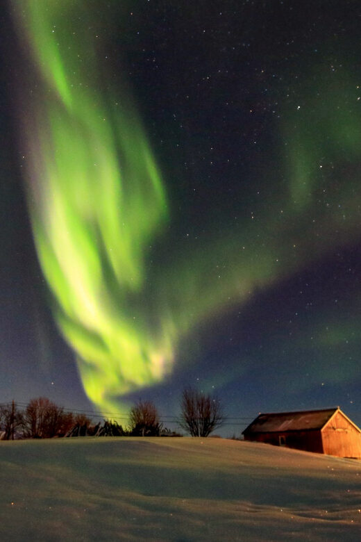 From Svolvaer: Private Northern Lights Search Trip - Who Will Love This Tour?