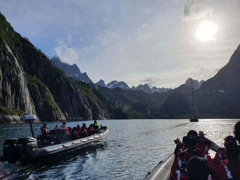 From Svolvær: RIB Boat Lofoten Trollfjord Sea Eagle Safari - Key Points