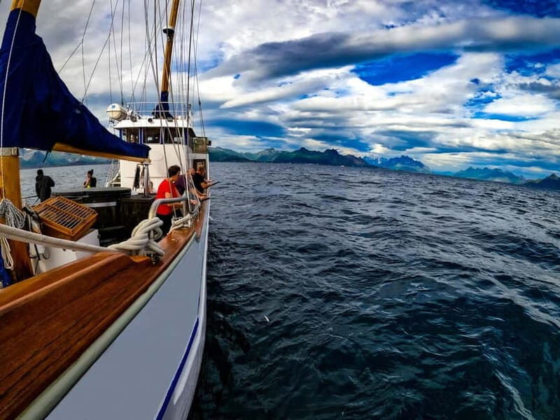 From Svolvær: Taste of Lofoten - Cultural Fishing Experience - Key Points