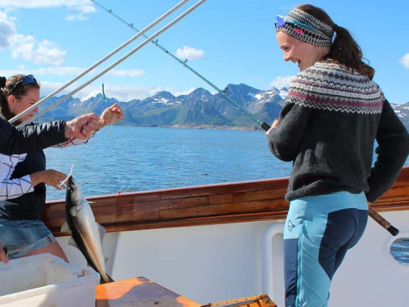 From Svolvær: Taste of Lofoten - Cultural Fishing Experience - The Value of the Experience