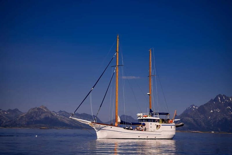 From Svolvær: Taste of Lofoten - Cultural Fishing Experience - Final Words