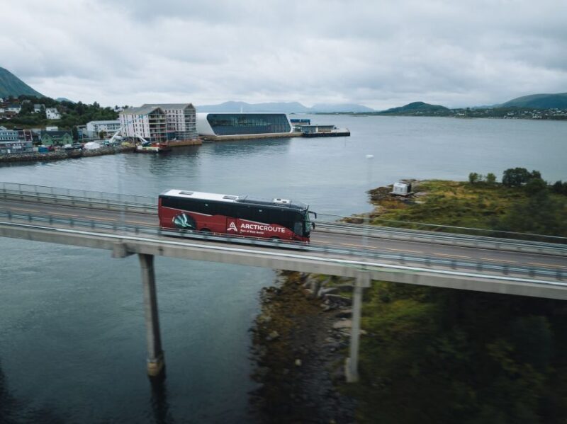 From Svolvær: Whale Watching Day Trip to Andenes - Key Points