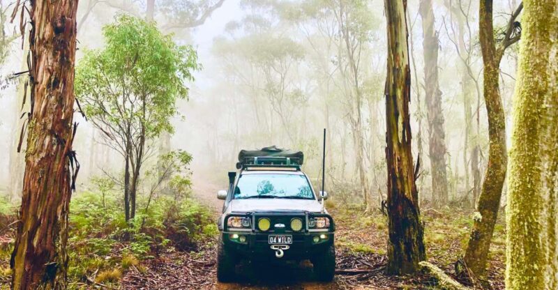 From Sydney: 2-Day Blue Mountains Camping 4WD & River Cruise - Practical Details and Tips