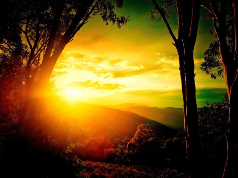 From Sydney: 2-Day Blue Mountains Camping 4WD & River Cruise - Frequently Asked Questions