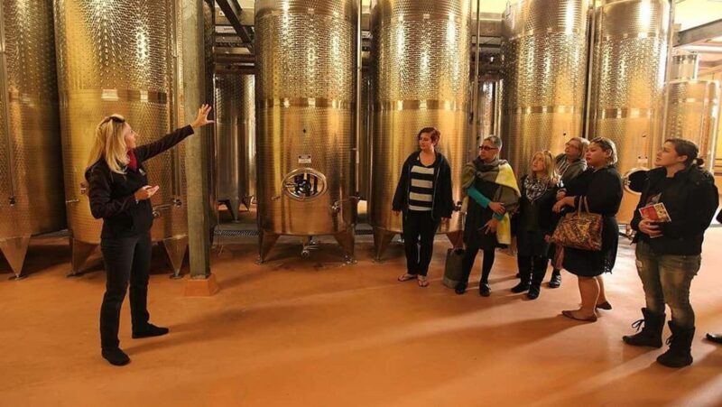 From Sydney: Award-Winning Hunter Valley Wine & Cheese Tour - Authenticity and the Local Connection