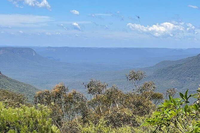 From Sydney: Blue Mountains & Featherdale - Day Tour - Final Thoughts: Who Should Consider This Tour?