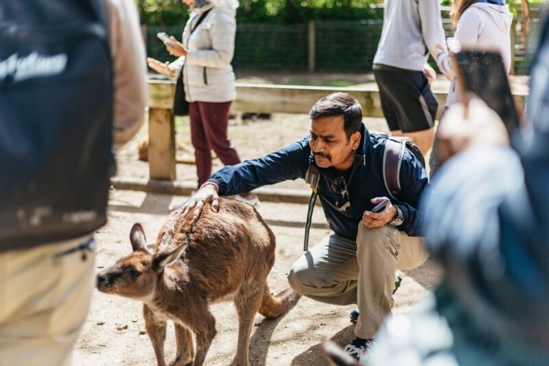 From Sydney: Blue Mountains Full-Day Trip - Key Points