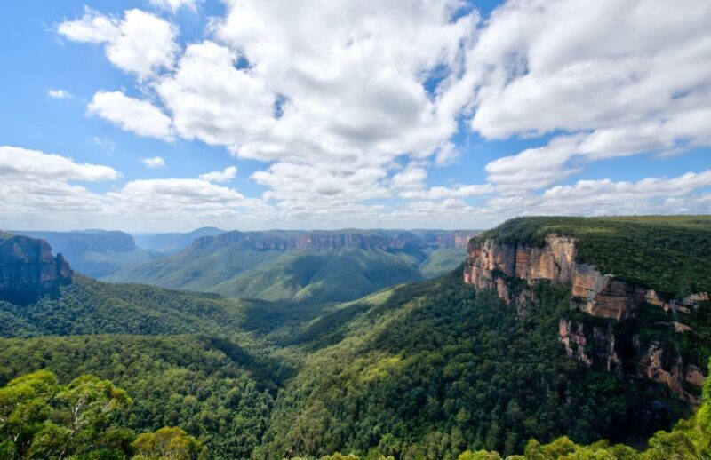 From Sydney: Blue Mountains, Scenic Railway, & Sydney Zoo - Final Verdict: Is It Worth It?
