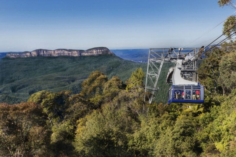 From Sydney: Blue Mountains, Scenic World, Zoo, & Ferry Ride - Sydney Zoo and Australian Wildlife