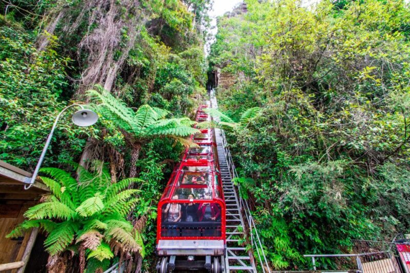 From Sydney: Blue Mountains, Scenic World, Zoo, & Ferry Ride - What Travelers Say