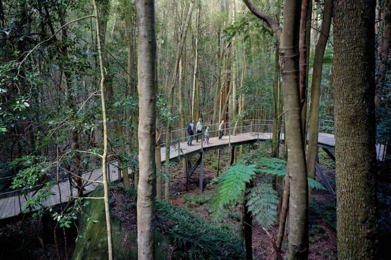 From Sydney: Blue Mountains, Sydney Zoo & Walking Tour - Key Points