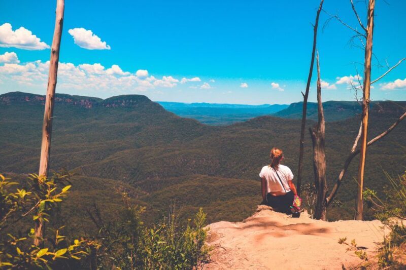 From Sydney: Blue Mountains, Sydney Zoo & Walking Tour - An In-Depth Look at the Tour Experience