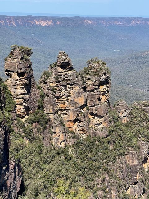 From Sydney: Blue Moutains and Featherdale Day Tour - Key Points