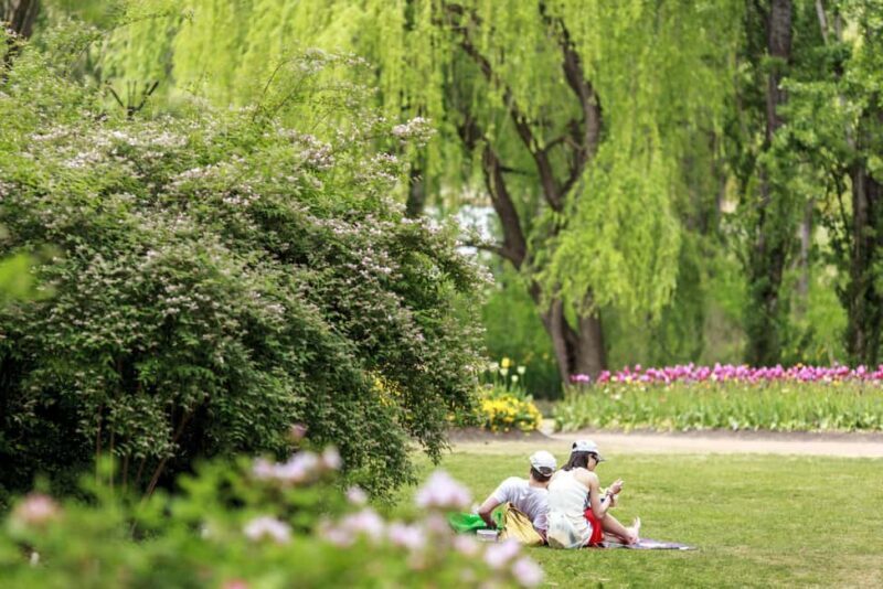 From Sydney: Canberra Floriade Festival Includes Lunch - Key Points