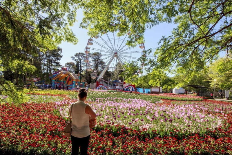 From Sydney: Canberra Floriade Festival Includes Lunch - What to Expect on This Day Tour
