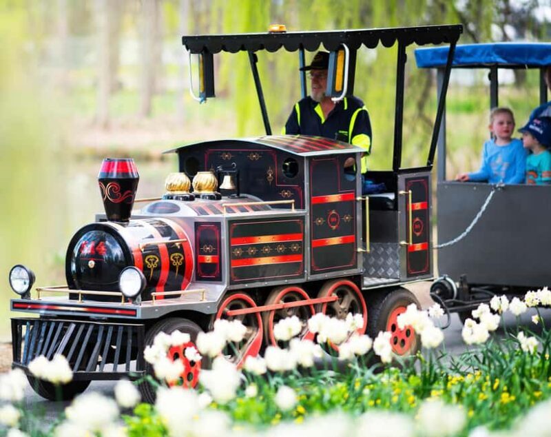 From Sydney: Canberra Floriade Festival Includes Lunch - Deep Dive into the Itinerary