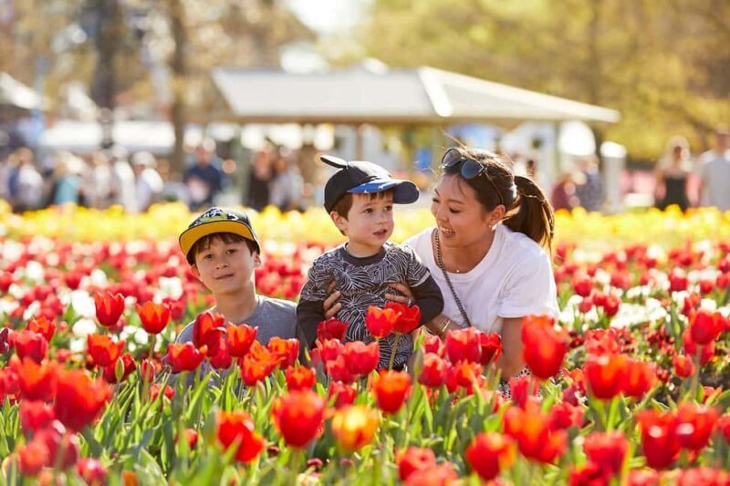 From Sydney: Canberra Floriade Festival Includes Lunch - Who Should Consider This Tour?