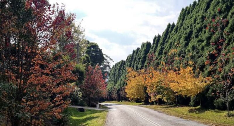 From Sydney: Cool Climate Wineries, Historic Towns, Wildlife - FAQ