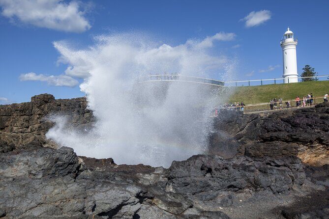 From Sydney: Day Tour to Jervis Bay with Beaches and Koalas - Who Should Consider This Tour?
