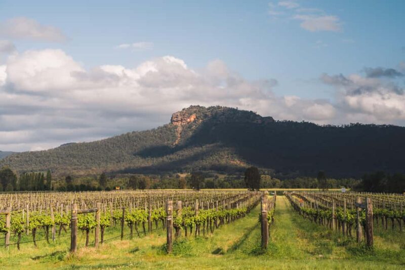 From Sydney: Full-Day Hunter Valley Wine Tour & Lunch - Final Thoughts