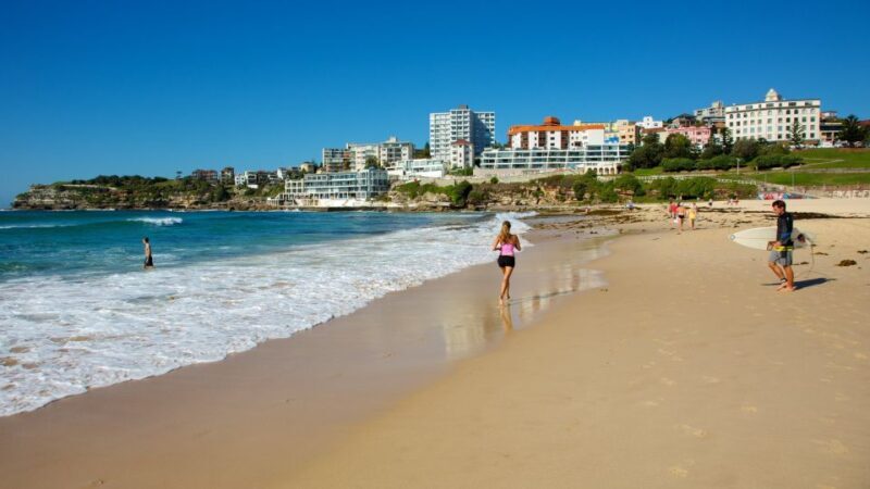 From Sydney: Full Day Tour of Golden Beaches and Ocean Vista - Exploring Sydney’s Green and Scenic Spaces