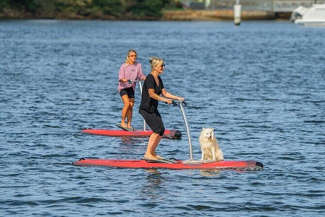 From Sydney: Full Day Tour of Golden Beaches and Ocean Vistas - A Complete Breakdown of the Itinerary