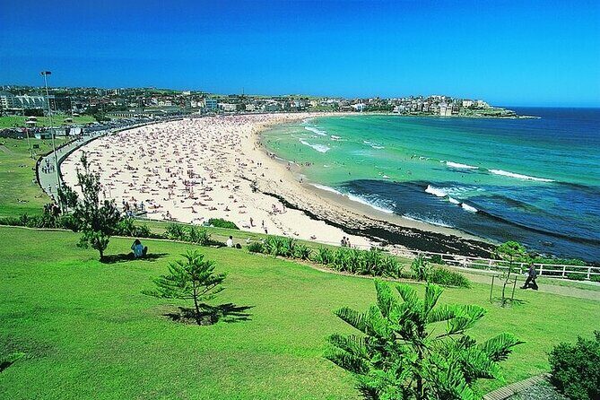 From Sydney: Full Day Tour of Golden Beaches and Ocean Vistas - Who Will Love This Tour?
