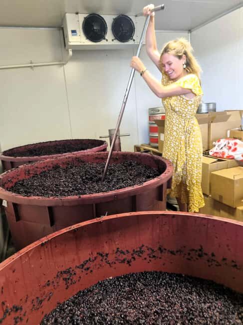 From Sydney: Hunter Valley Beer & Wine Group Tour - Key Points