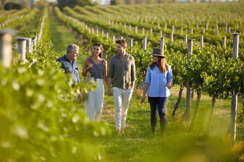 From Sydney: Hunter Valley Boutique Wine Tasting Tour - Introduction to the Experience