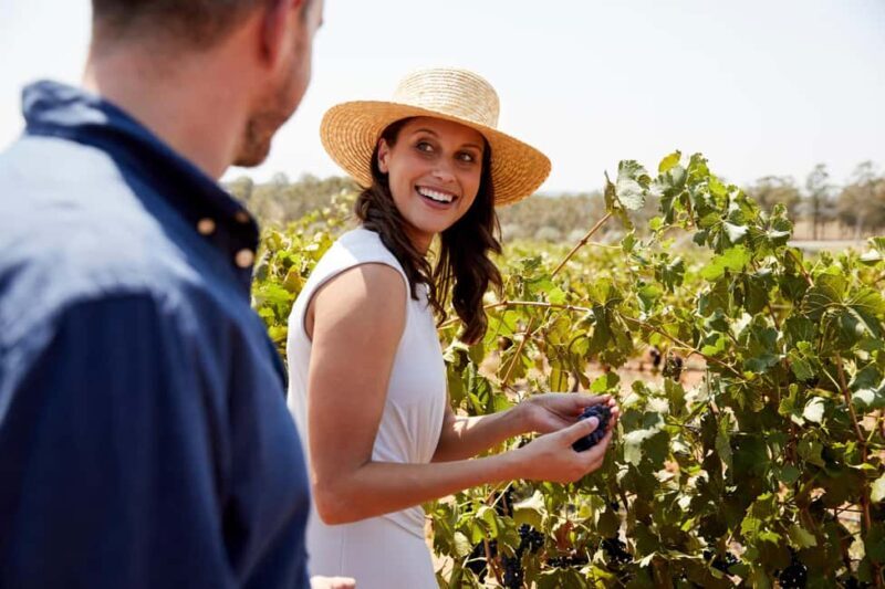 From Sydney: Luxury Hunter Valley Wine Tour with Fine Dining - Key Points