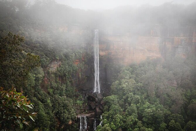 From Sydney Private Tour of Waterfalls Wineries and Wildlife - Key Points