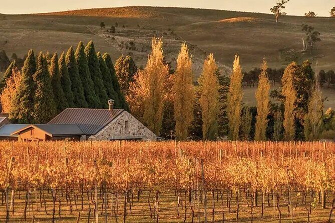 From Sydney Private Tour of Waterfalls Wineries and Wildlife - Analyzing the Itinerary: What to Expect