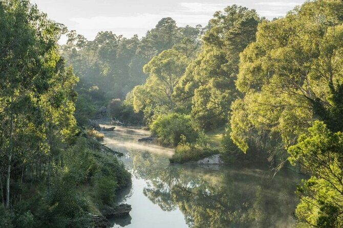 From Sydney Private Tour of Waterfalls Wineries and Wildlife - Who Would Love This Tour?