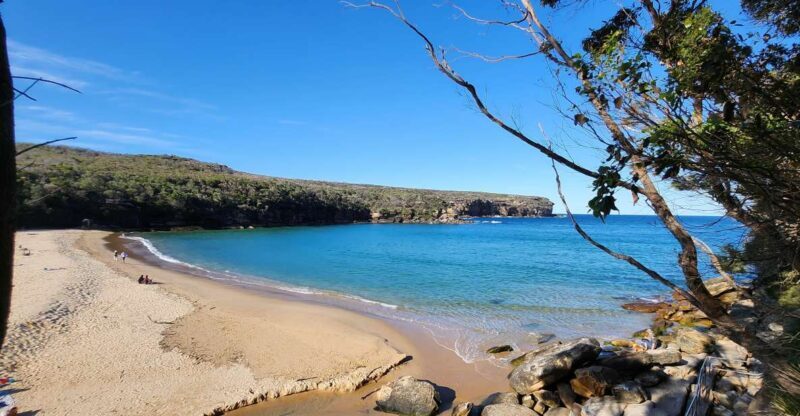 From Sydney: Royal National Park, Wollongong, and Kiama Tour - What Is This Tour About?