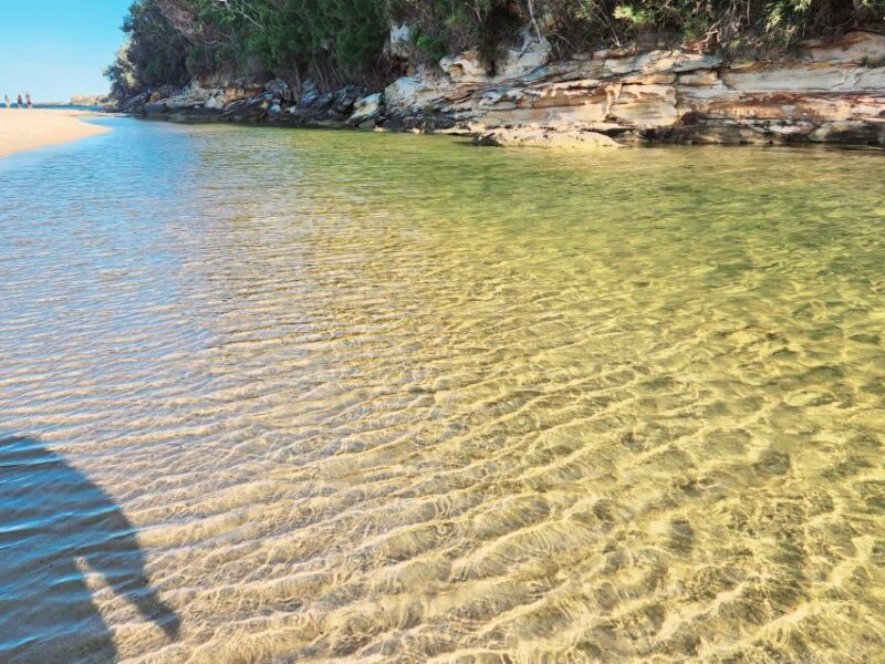 From Sydney: Royal National Park, Wollongong, and Kiama Tour - Wollongong: Coastal Charm and Colorful Sea Pools