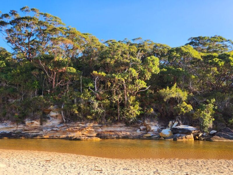 From Sydney: Royal National Park, Wollongong, and Kiama Tour - Group Size, Price & Value